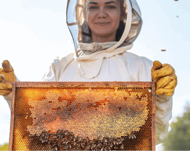 Beekeeping For Beginners On-line Courses By Beekeeping Made Simple ...